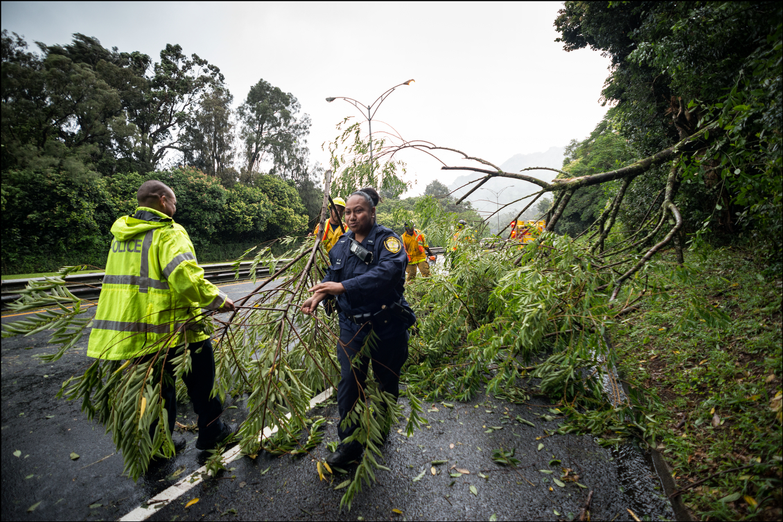 The Projector: Pictures From Hawaii — in the Path of Two Hurricanes ...